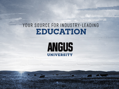 Angus University