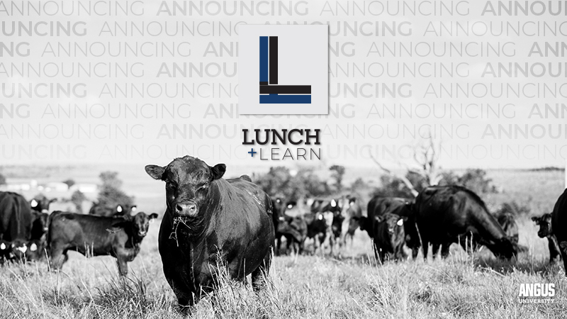 American Angus Association