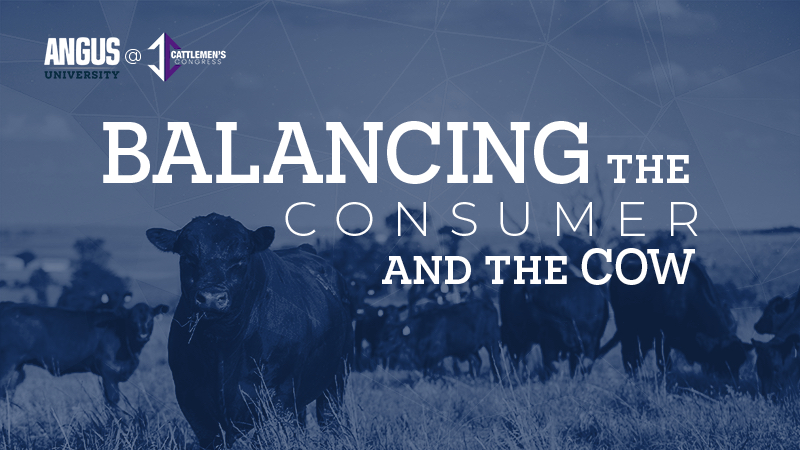 American Angus Association