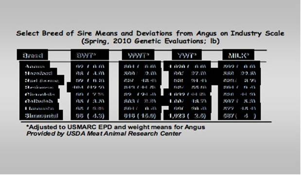 The Growing Angus Advantage